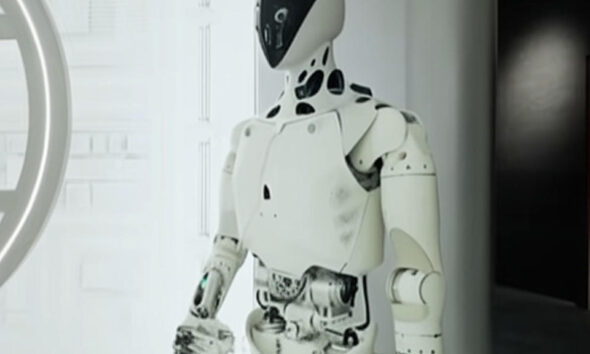 Biobots, Los Pequeños Robots Vivos que Revolucionan la Medicina ...